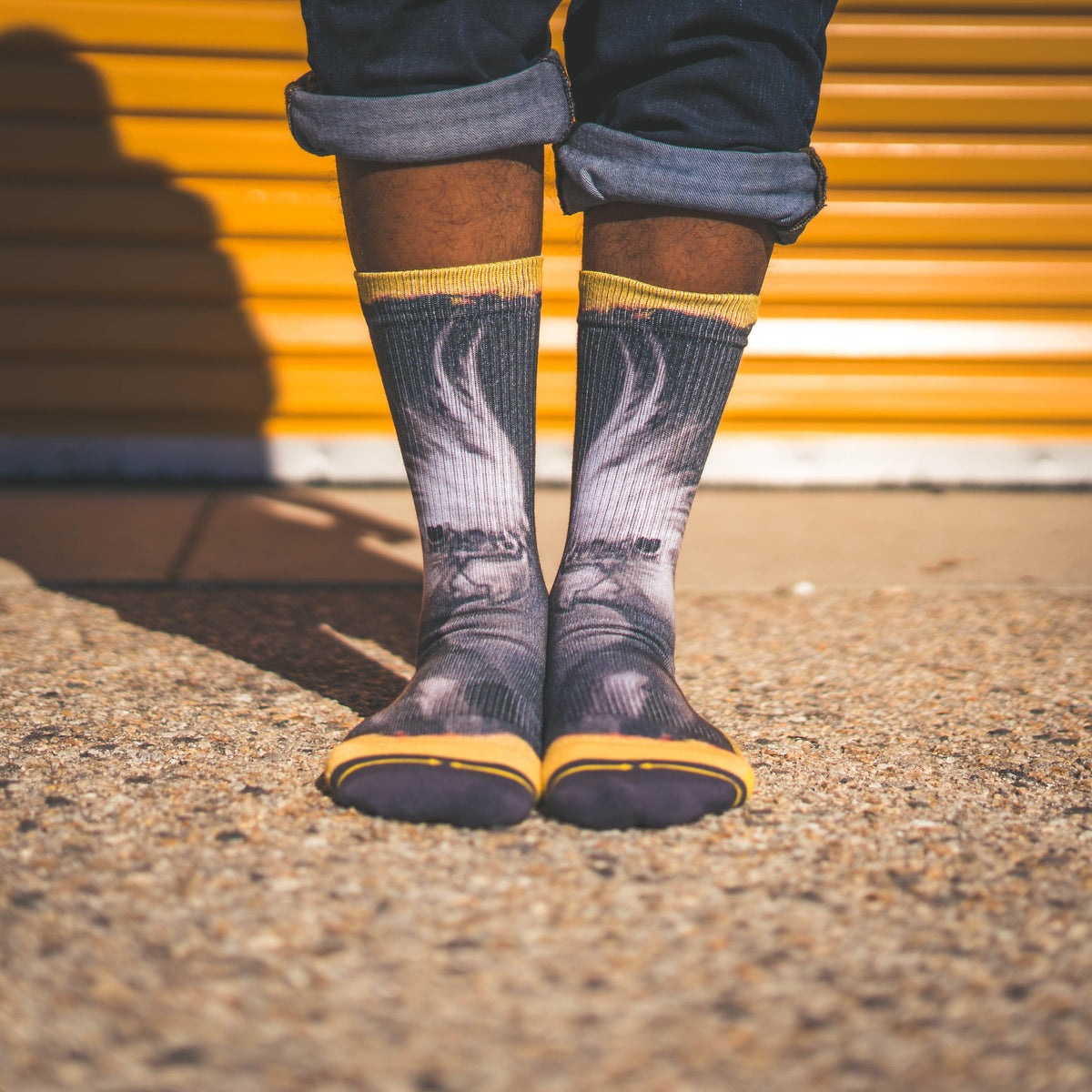 Marvin Plummer Bird | Animal Socks for Men | MERGE4